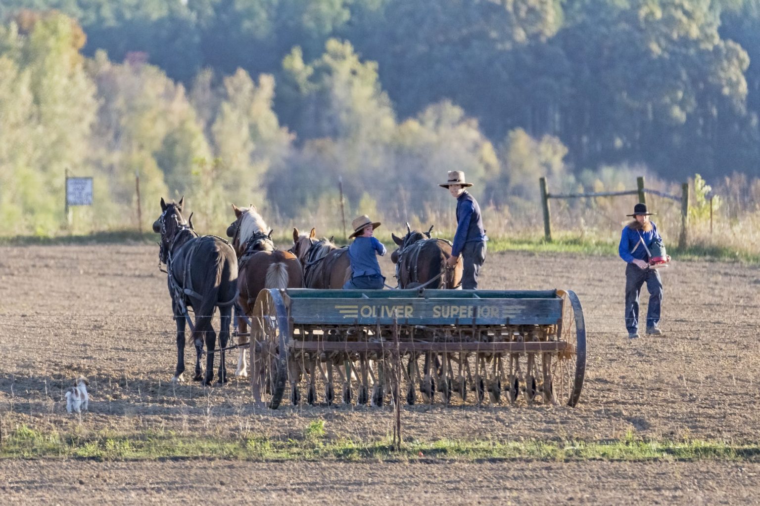 Amish Mennonite of Tennessee Coming Soon - Amish and Mennonite of Tennessee